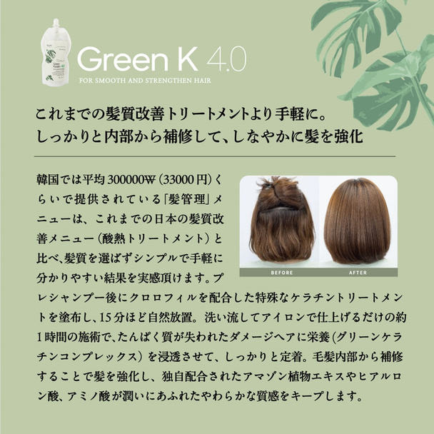 クレイツ レピ グリーンK（ケラチン）4.0 450g×2個≪髪管理トリートメント≫の卸・通販 | ビューティガレージ