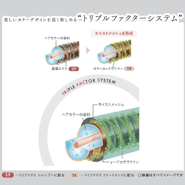 トリファクス トリートメント 490gの卸・通販 | ビューティガレージ